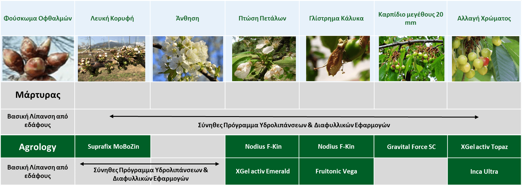 Αύξηση Παραγωγής στην Καλλιέργεια Κερασιάς - Agrology