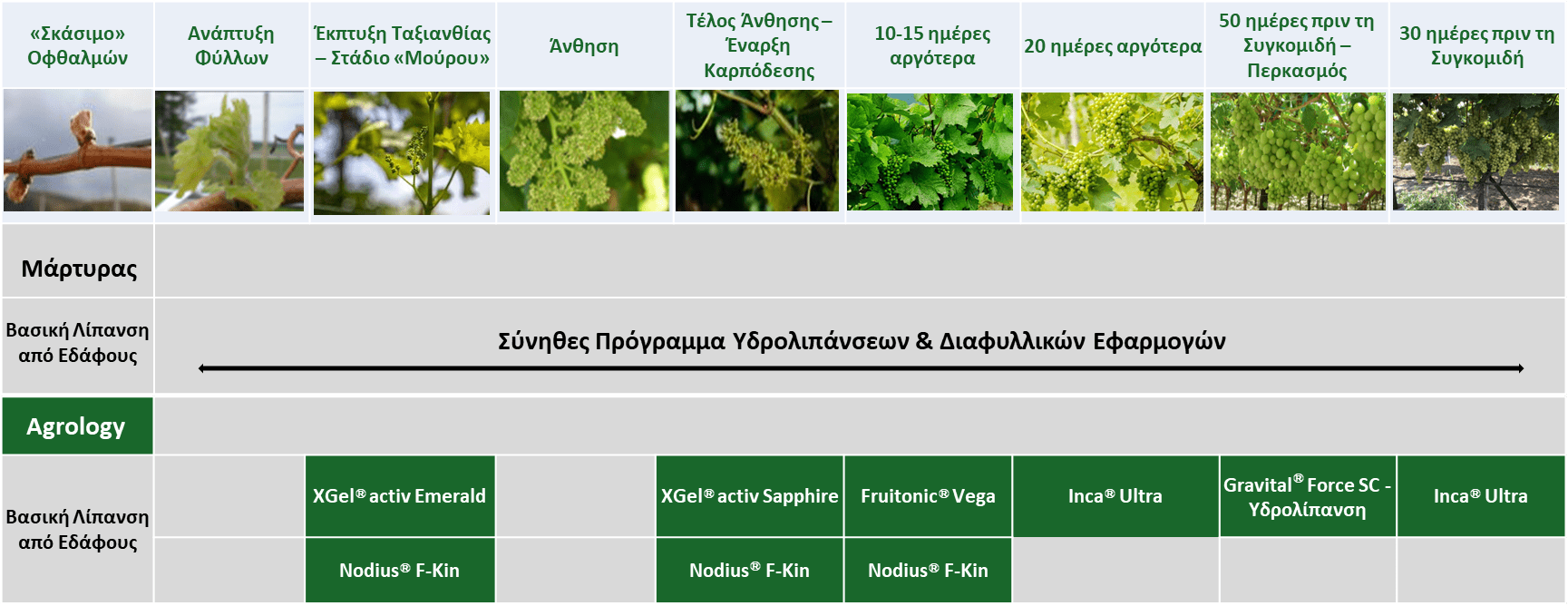 Αύξηση Παραγωγής στο Επιτραπέζιο Αμπέλι - Agrology